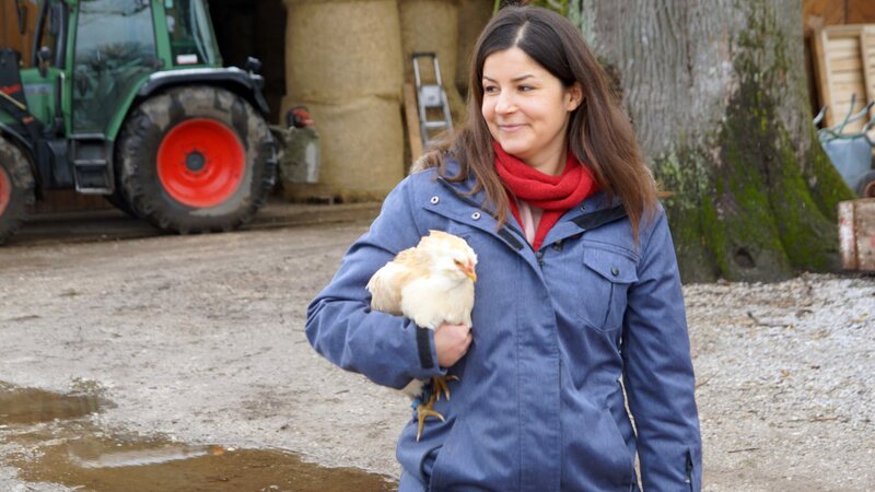 Wenn es rund geht in Anif – fernsehserien.de