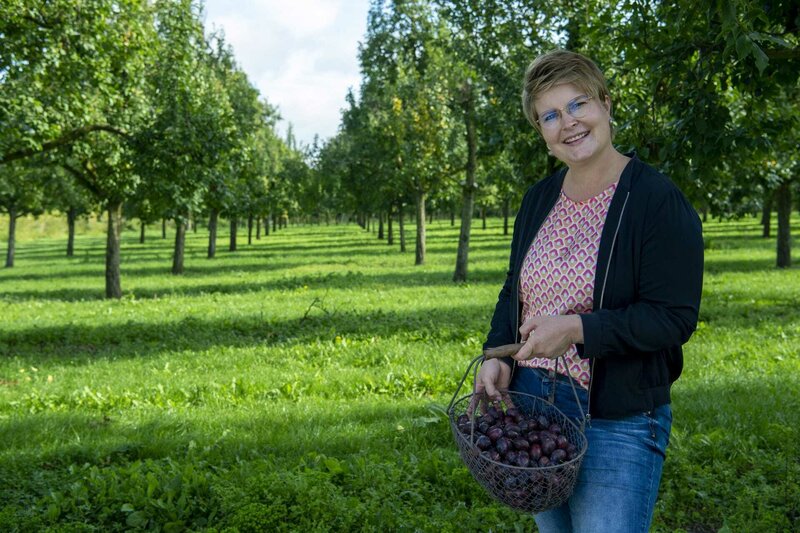 Land & lecker Staffel 2 Episodenguide – fernsehserien.de