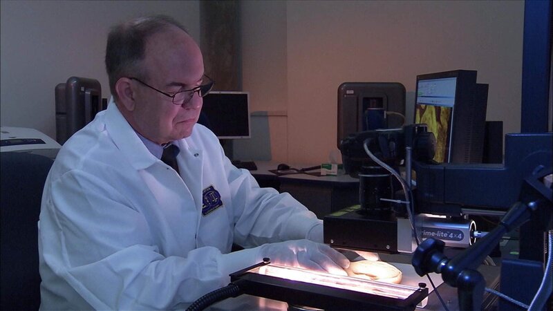 Medical Detectives Special Episodenguide – fernsehserien.de