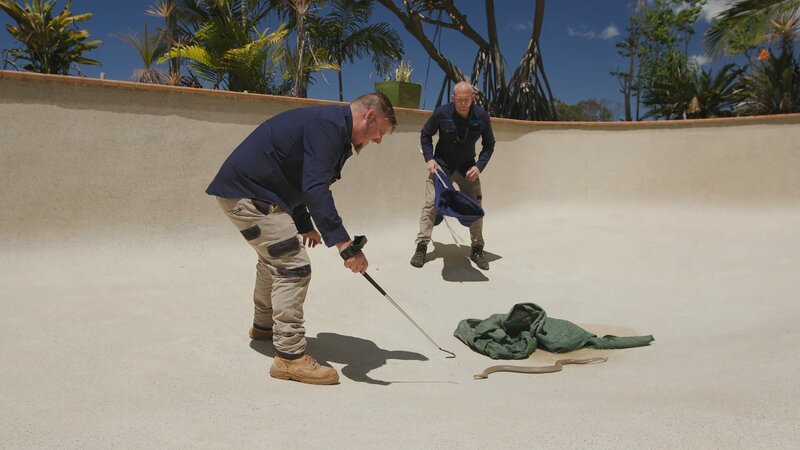 Snake Security Staffel 1 Episodenguide – fernsehserien.de