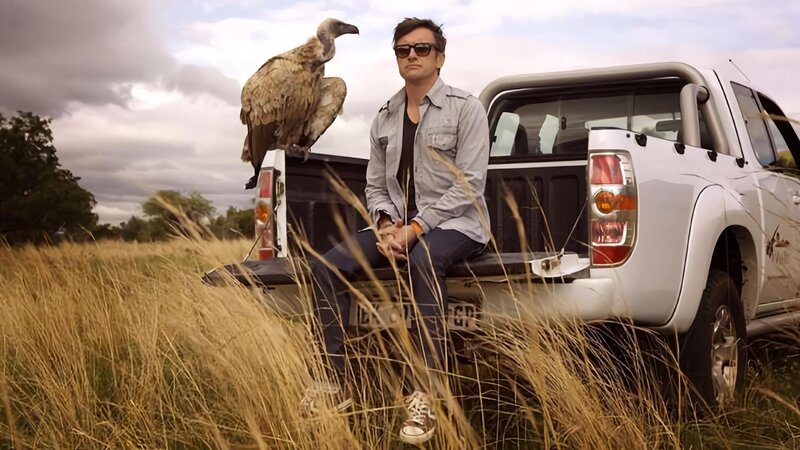 Richard Hammonds Wunder der Natur Staffel 1 Episodenguide ...