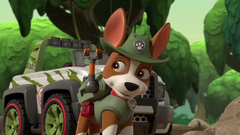 Paw Patrol S08E08a: Der Staubwirbel-Express (Pups Save The Dizzy Dust ...