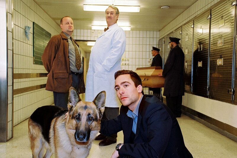 Kommissar Rex (1994) Staffel 10 Episodenguide – fernsehserien.de