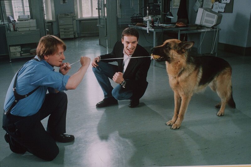 Kommissar Rex (1994) S05E06: Rex rächt sich – fernsehserien.de