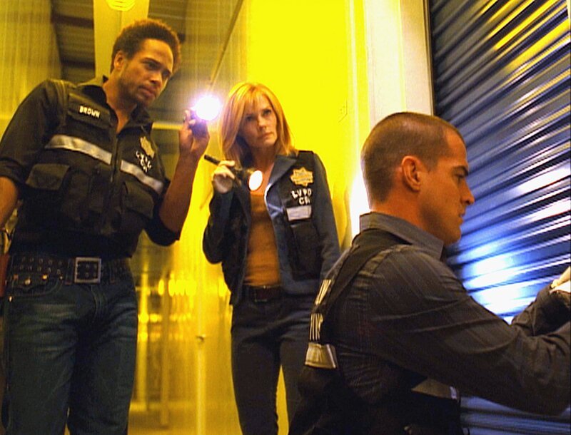 CSI: Vegas S09E08: Der Mann ihrer Träume (Young Man With A Horn ...