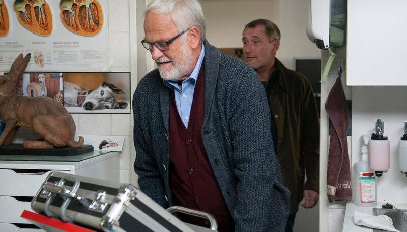 Tiere bis unters Dach S06E03: Geh’ du alter Esel – fernsehserien.de