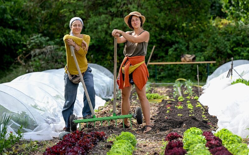 37°Leben 31: Anders ackern – Urban Farming – fernsehserien.de