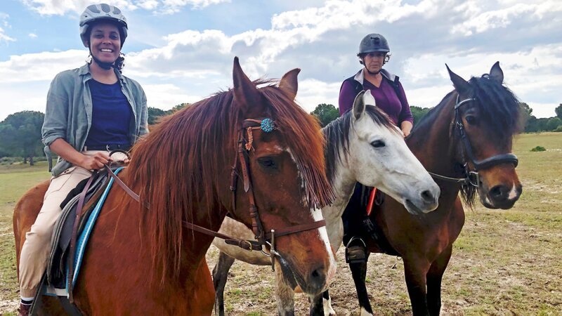 Pia und die wilden Tiere 22: Im Sumpf der Marismeño-Pferde ...