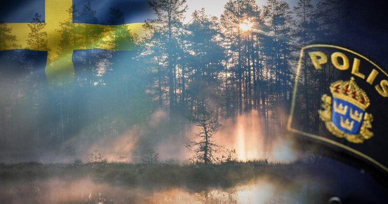 Tod in Schweden – Der rätselhafte Fall des Kevin H. 03: Zwei Brüder ...