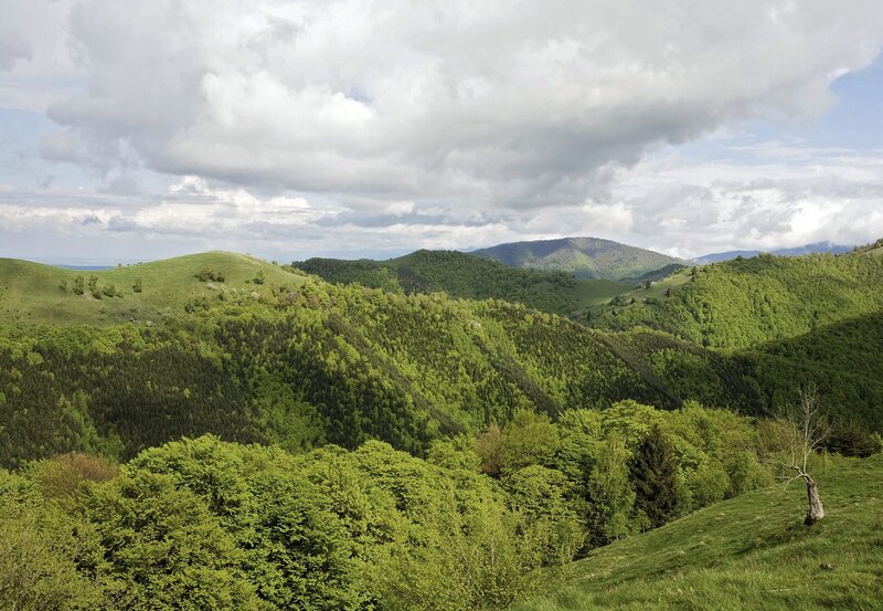 natur exclusiv Wildes Rumänien – Land der Bären und Wölfe ...