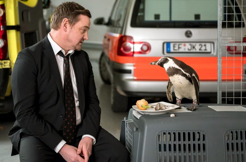 In aller Freundschaft – Die jungen Ärzte S08E21: Glückskind ...