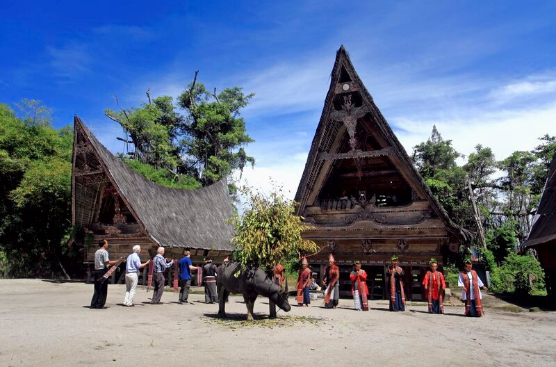 Der wilde Norden Sumatras – fernsehserien.de