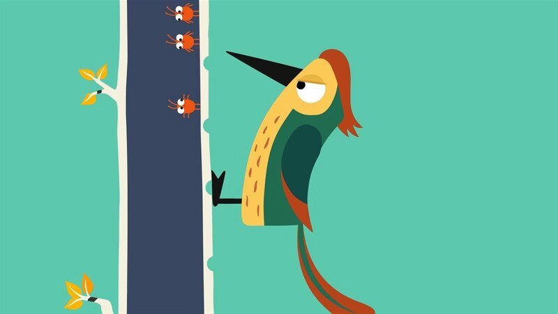 Animanimals S02E17: Specht – fernsehserien.de