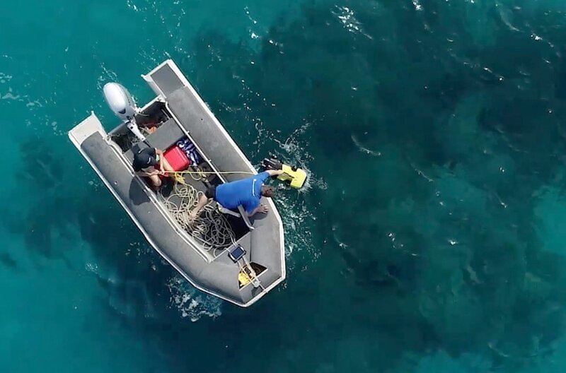 Die Wächter des Great Barrier Reef 01: Die Korallen – fernsehserien.de