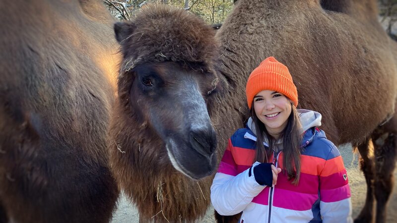 Anna und die Haustiere 103: Ein Tag beim Zootierpfleger – fernsehserien.de