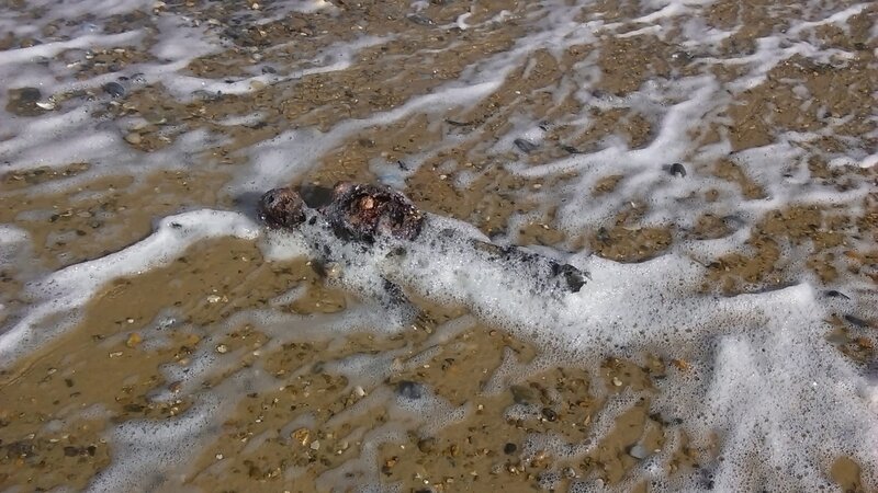 Paranormal on Tape Staffel 2 Episodenguide – fernsehserien.de