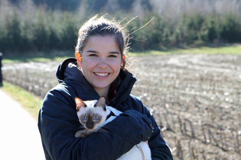 Anna und die Haustiere 31: Siamkatze – fernsehserien.de