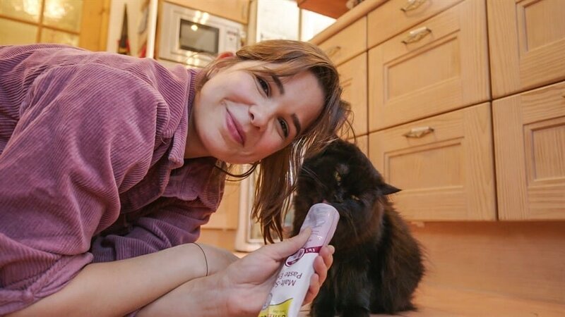 Anna und die Haustiere 104: Perserkatze – fernsehserien.de