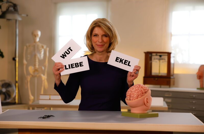 Wissen vor acht – Mensch 2023 Episodenguide – fernsehserien.de