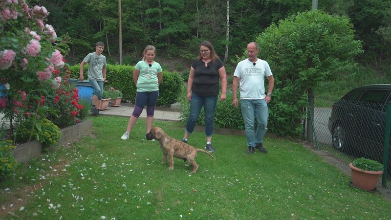 Martin Rütter – Die Welpen kommen Best of … (3) – fernsehserien.de