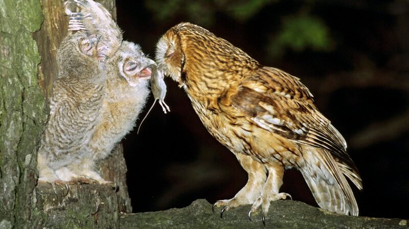 Die Havel – fernsehserien.de