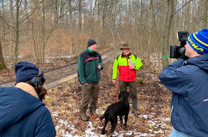 Der Osten – Entdecke wo du lebst 422: Paulinzella – Der Schatz im Wald ...