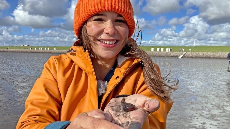 Anna und die wilde Hilde 01: Seehund in Not – fernsehserien.de