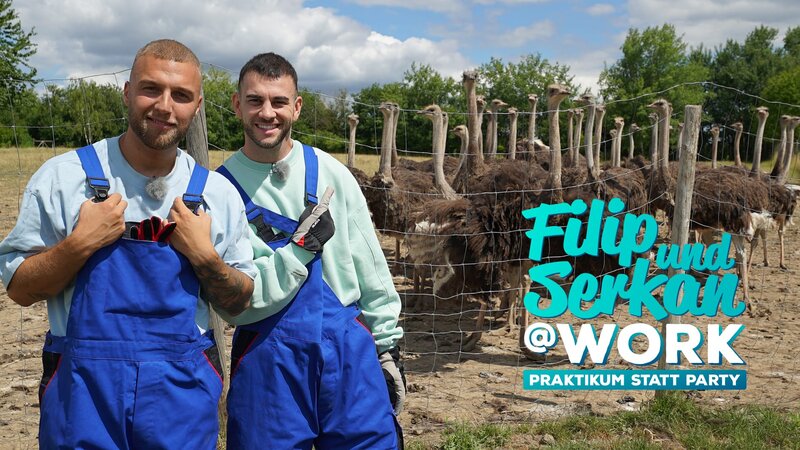 Filip und Serkan @Work – Praktikum statt Party Staffel 1 Episodenguide ...
