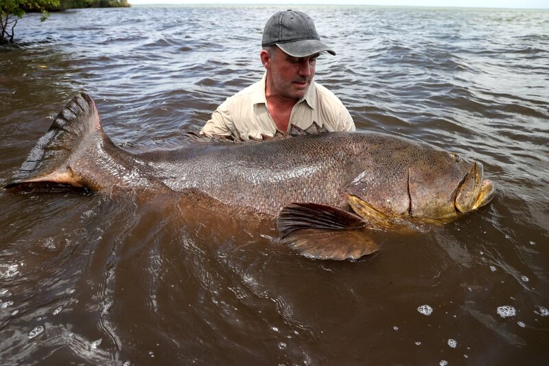 Chasing Monsters S07E04: Bedrohtes Paradies (Nicaraguan Brawlers (2 ...