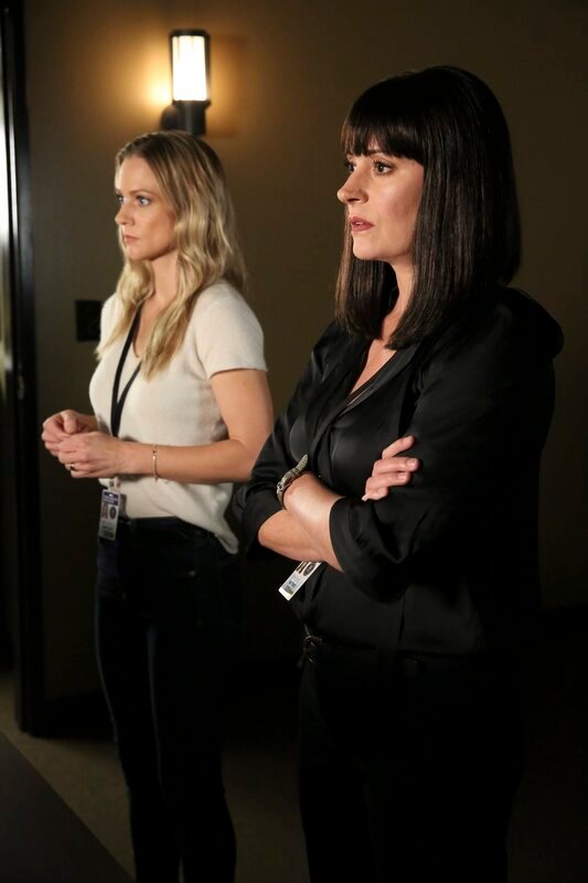 Criminal Minds S14E05: Der heimliche Freund (The Tall Man ...