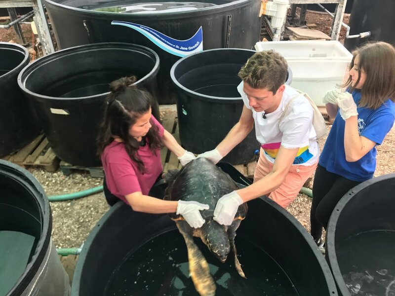 Das erste Mal … Europa! 06: Louisa und Philipp in Griechenland ...