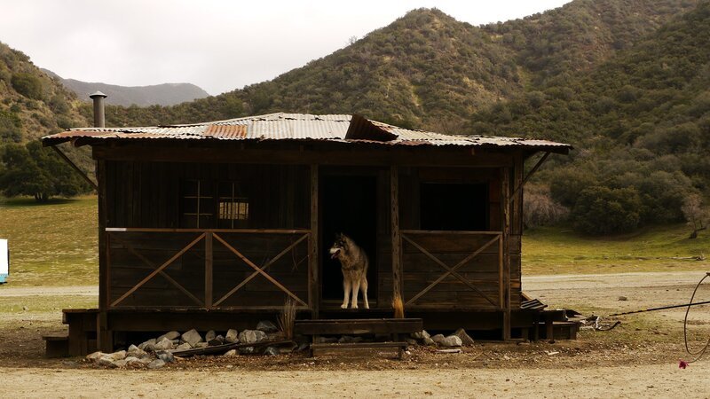 Wolf Town – fernsehserien.de