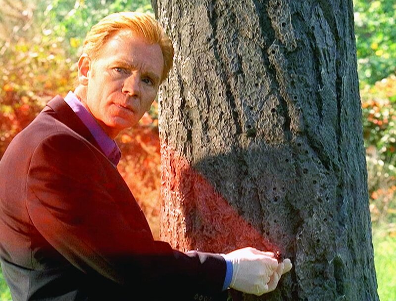 CSI: Miami S01E20: Schießwütig (Grave Young Men) – fernsehserien.de