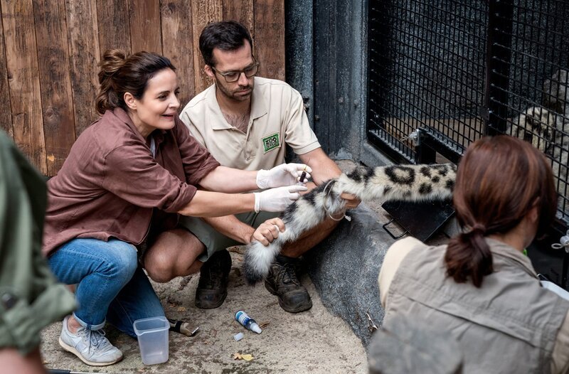Tierärztin Dr. Mertens S08E08: Bittere Konsequenzen – fernsehserien.de