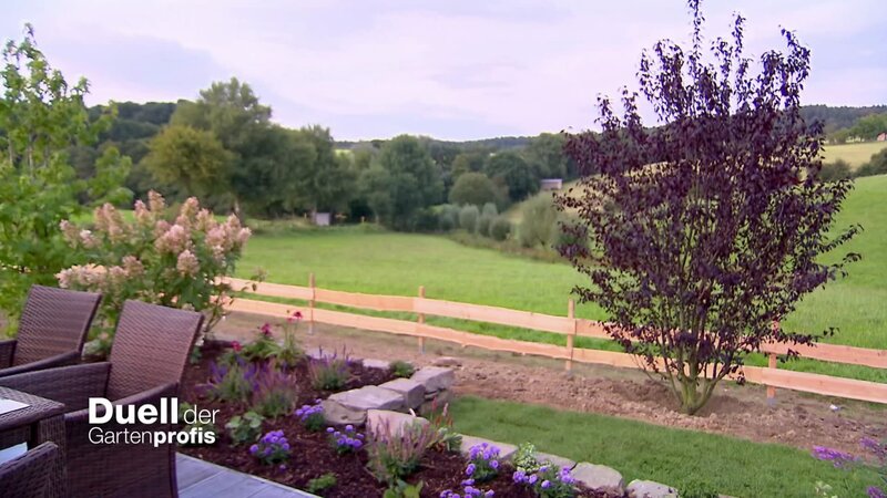 Duell der Gartenprofis S01E08: Folge 8 – fernsehserien.de