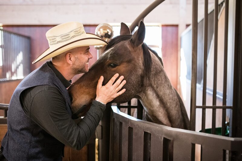 Der Pferdetrainer S01E03: Folge 3 – fernsehserien.de