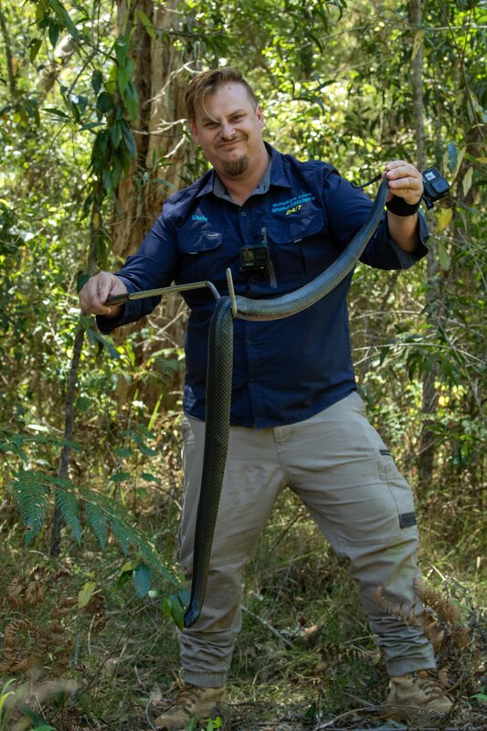 Snake Security S02E06: Flucht ins Unterholz (Snakes On The Move ...