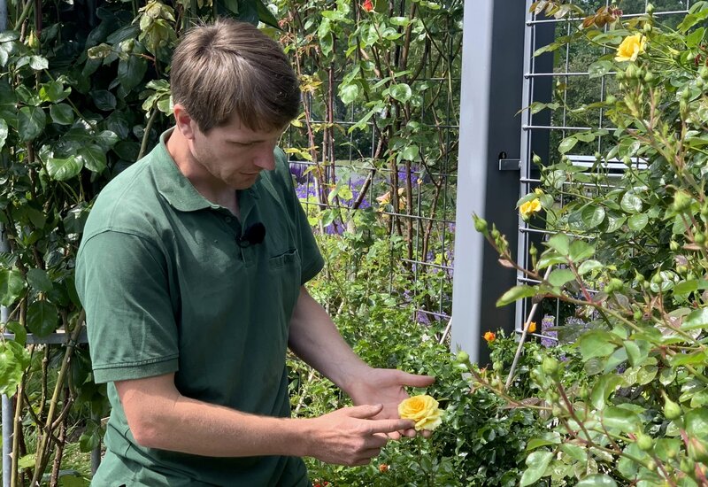 Der Osten – Entdecke wo du lebst 365: Im Reich der Blumenkönigin ...