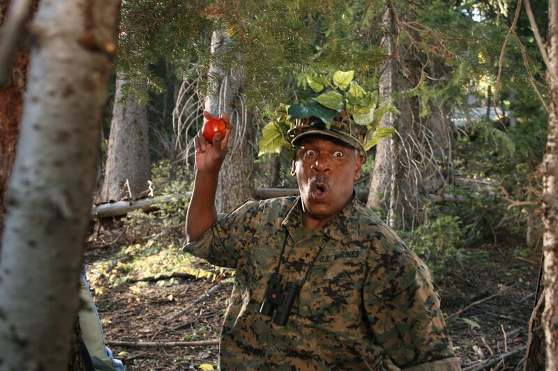 Der Kindergarten Daddy 2 – fernsehserien.de