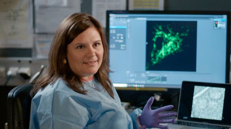 Mein Körper. bisher 12 Folgen Episodenguide – fernsehserien.de