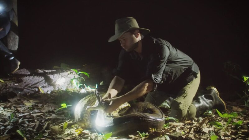 Expedition X – Dem Unheimlichen auf der Spur S03E12: Yacumama – die ...