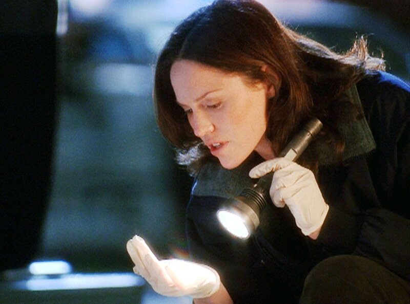 CSI: Vegas S05E15: Baby Bruce (King Baby) – fernsehserien.de