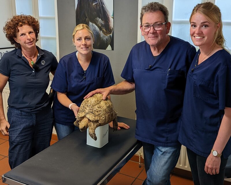 Tierarzt Dr Dreesen