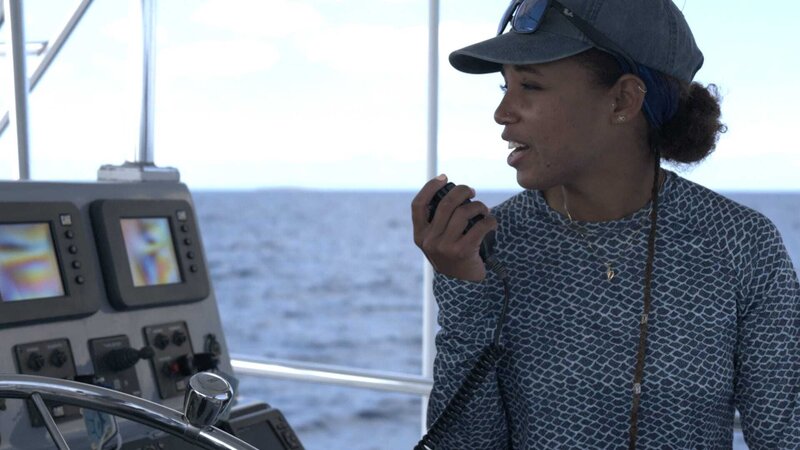 Shark Week S34E25: Lusca – Der Monsterhai der Bahamas (Monster Sharks ...