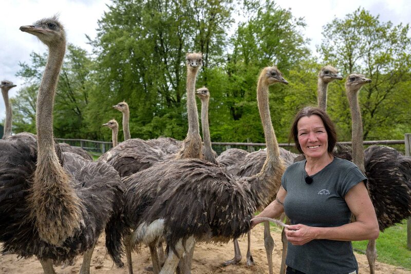 Hofgeschichten S01E15: Markttag für die Fischerin – fernsehserien.de