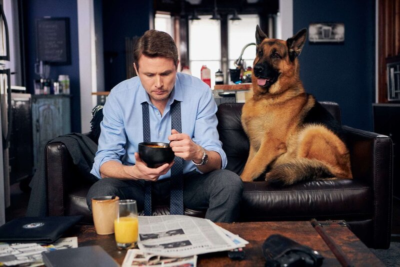 Hudson & Rex S02E12: Amors Pfeil (Rex And The City) – fernsehserien.de