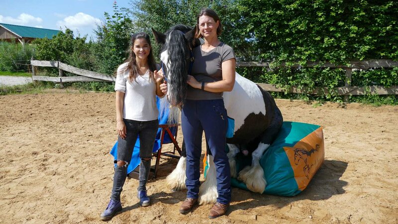 Anna und die Haustiere 80: Tinker – fernsehserien.de