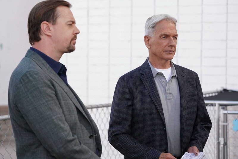 Navy CIS S19E14: Der erste Fall (First Steps) – fernsehserien.de