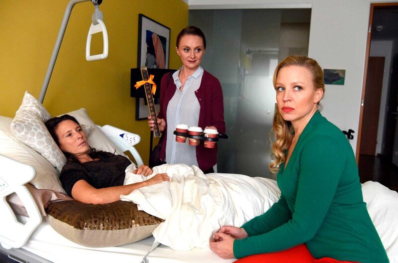 Vorstadtweiber Staffel 3 Episodenguide – fernsehserien.de