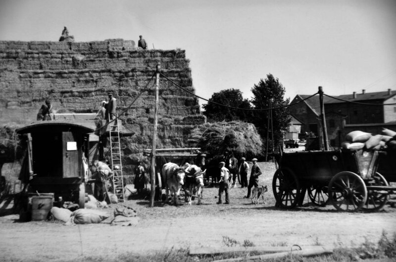 Der Osten – Entdecke wo du lebst 301: Rübe, Roggen, reiche Ernte – Der ...